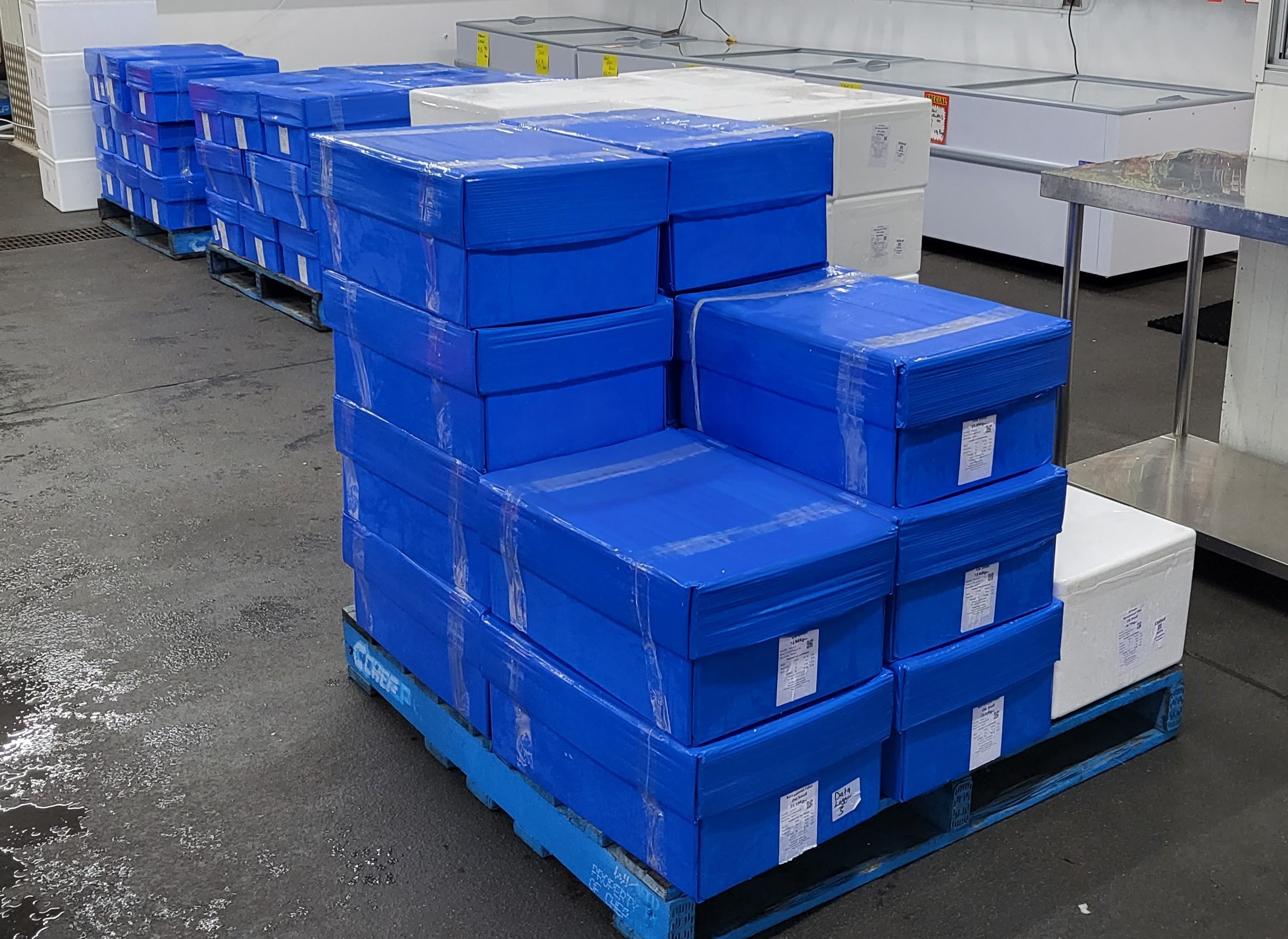 Transportation Tests Trials Cushionflute